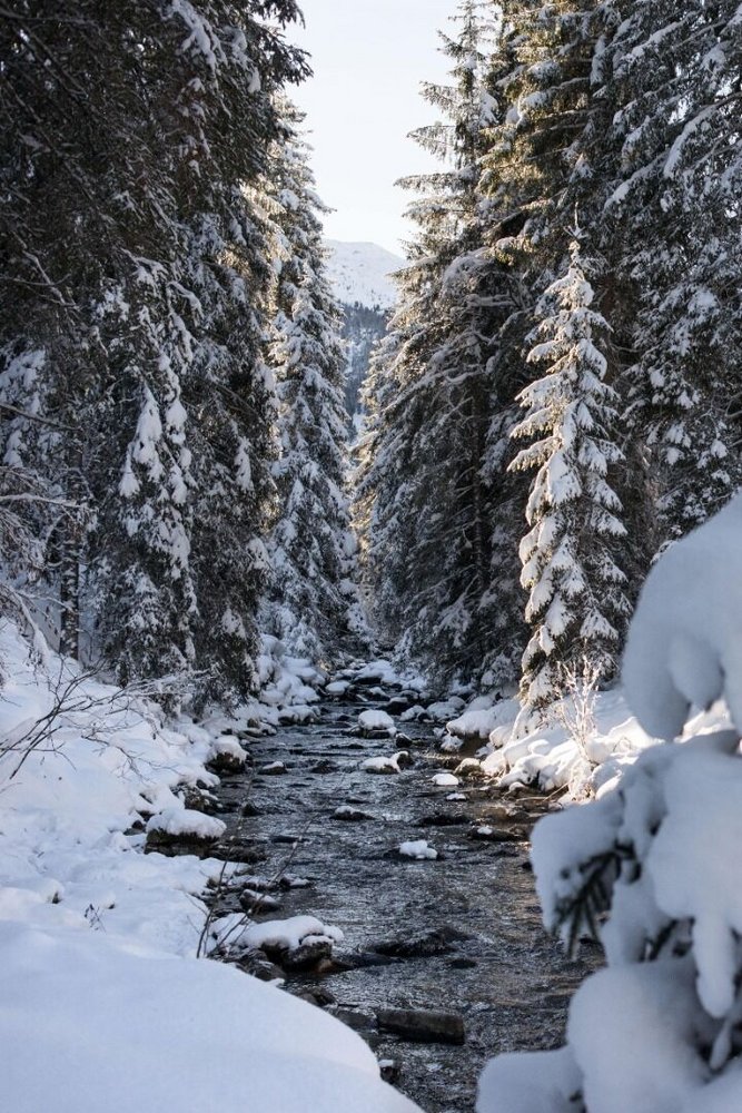 Gastein: Angertal Winter | Gastein